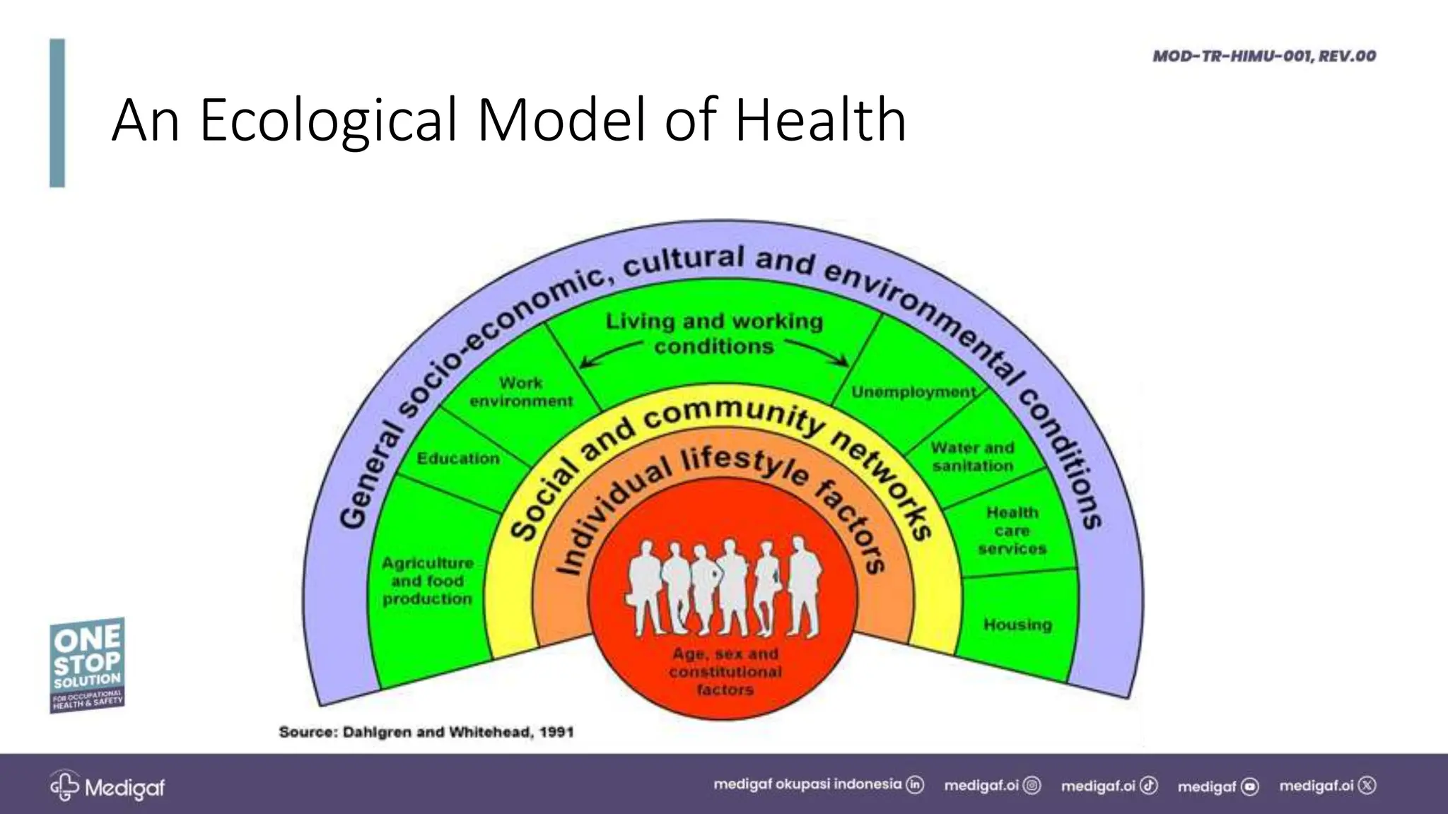 Workplace Health Promotion.pptx Workplace Health Promotion.pptx ...