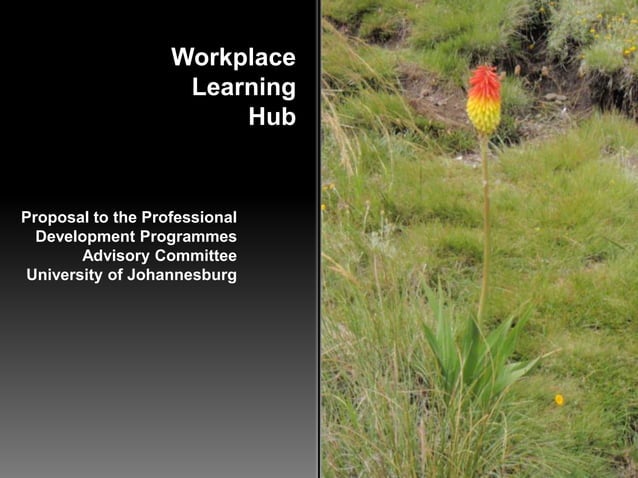 Workplace learning hub | PPTX