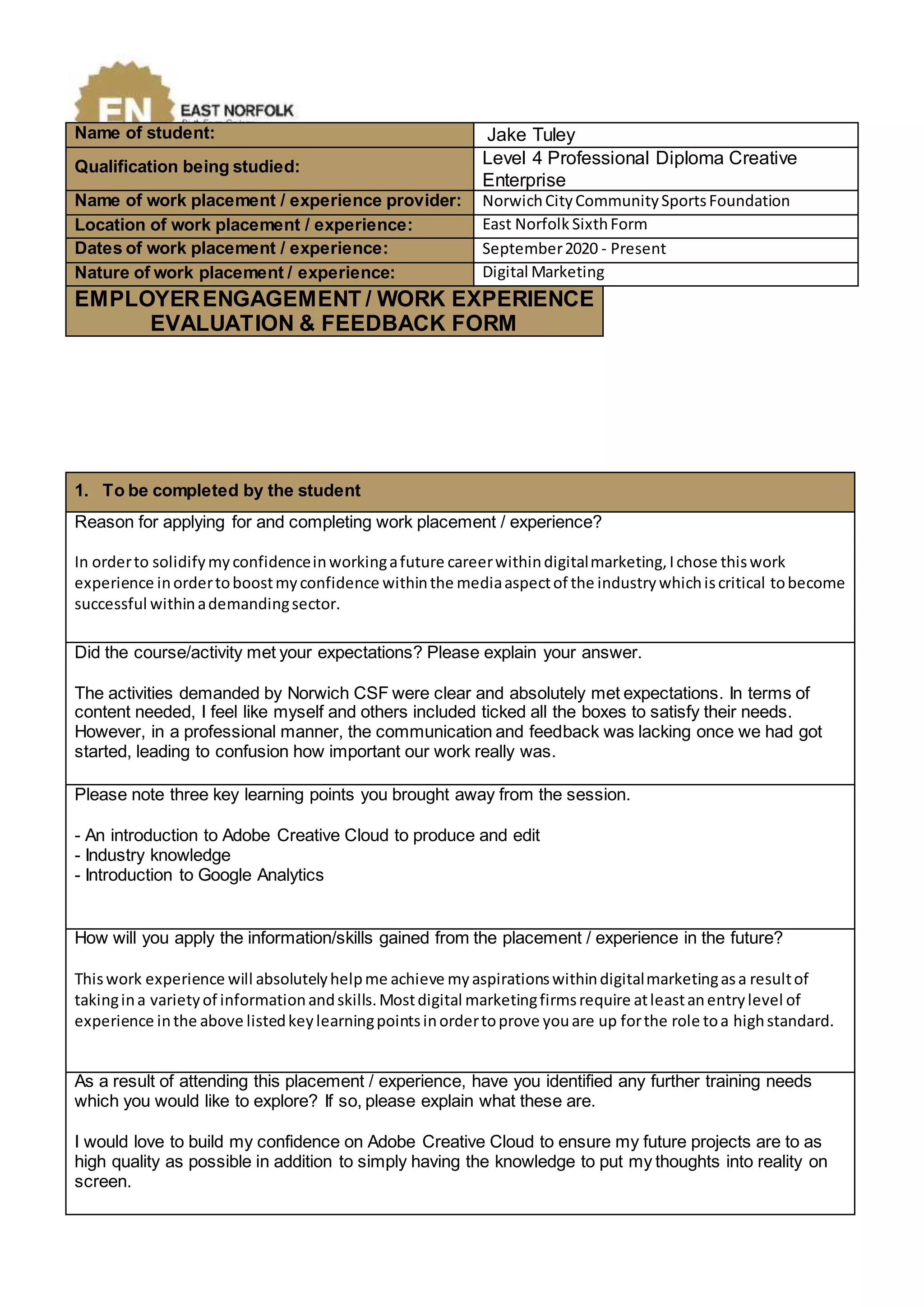 Work placement and experience evaluation and feedback form | DOCX
