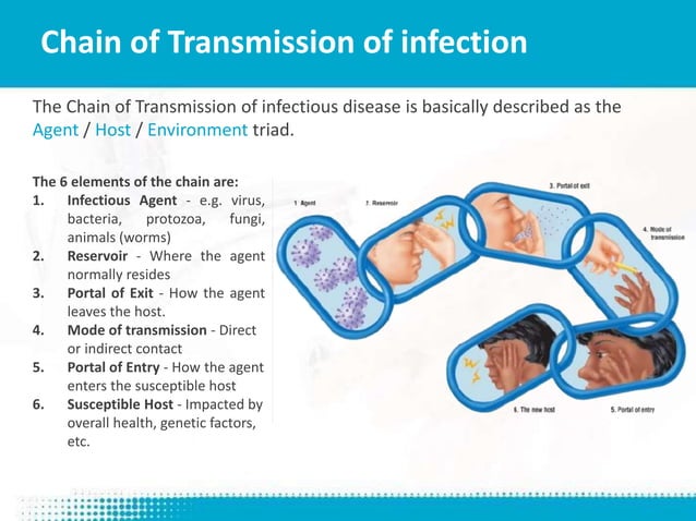 Workplace safety infection control | PPTX