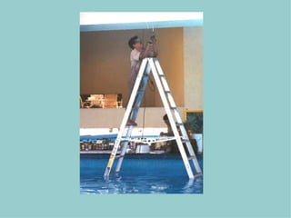 Workplace Safety Awards2006 | PPS