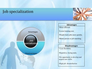 Work redesign and work schedule | PPTX
