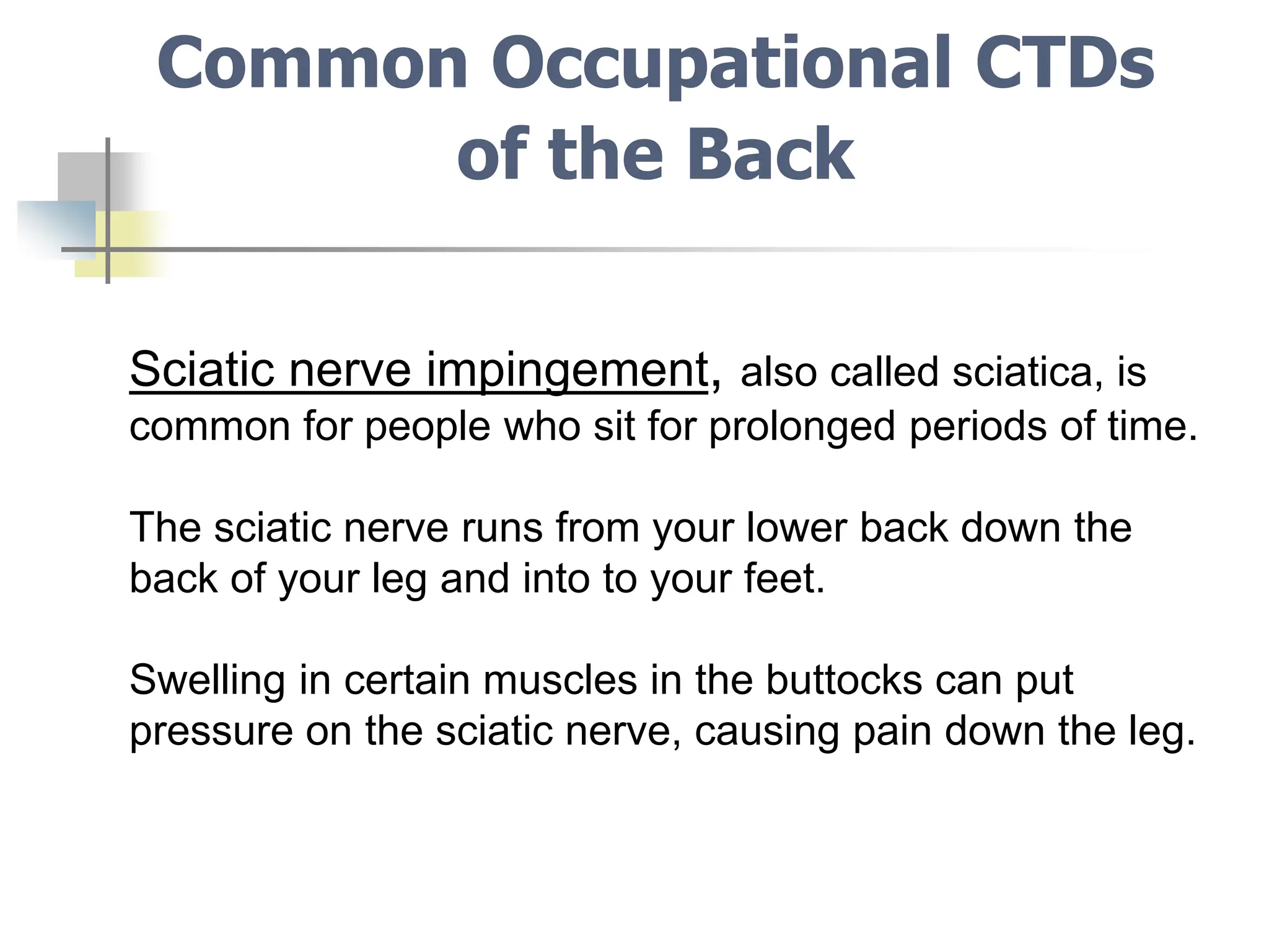 Work Related Musculoskeletal Disorders.ppt