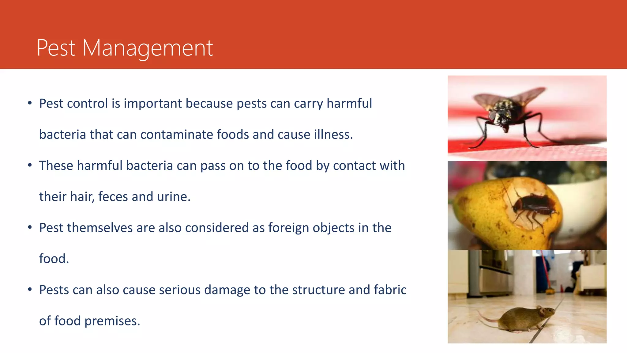 Work safety pest control | PPTX