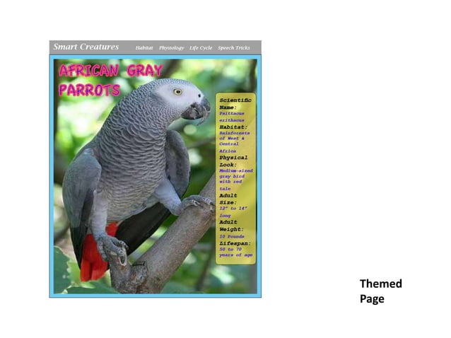 Work samples graphic design | PPTX