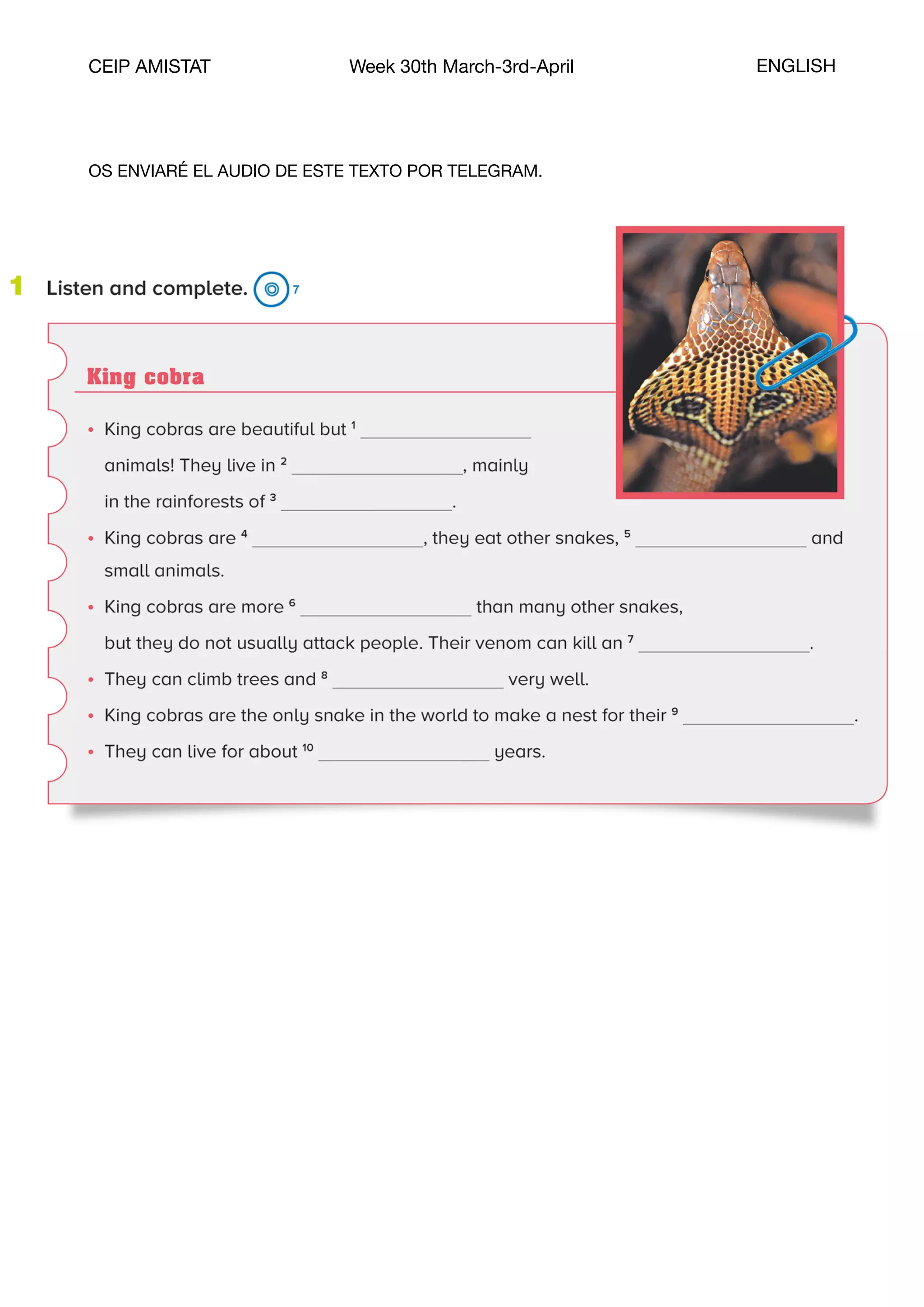 WORKSHEET | PDF