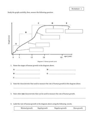 Worksheet 1-Growth | DOCX | Physics | Science