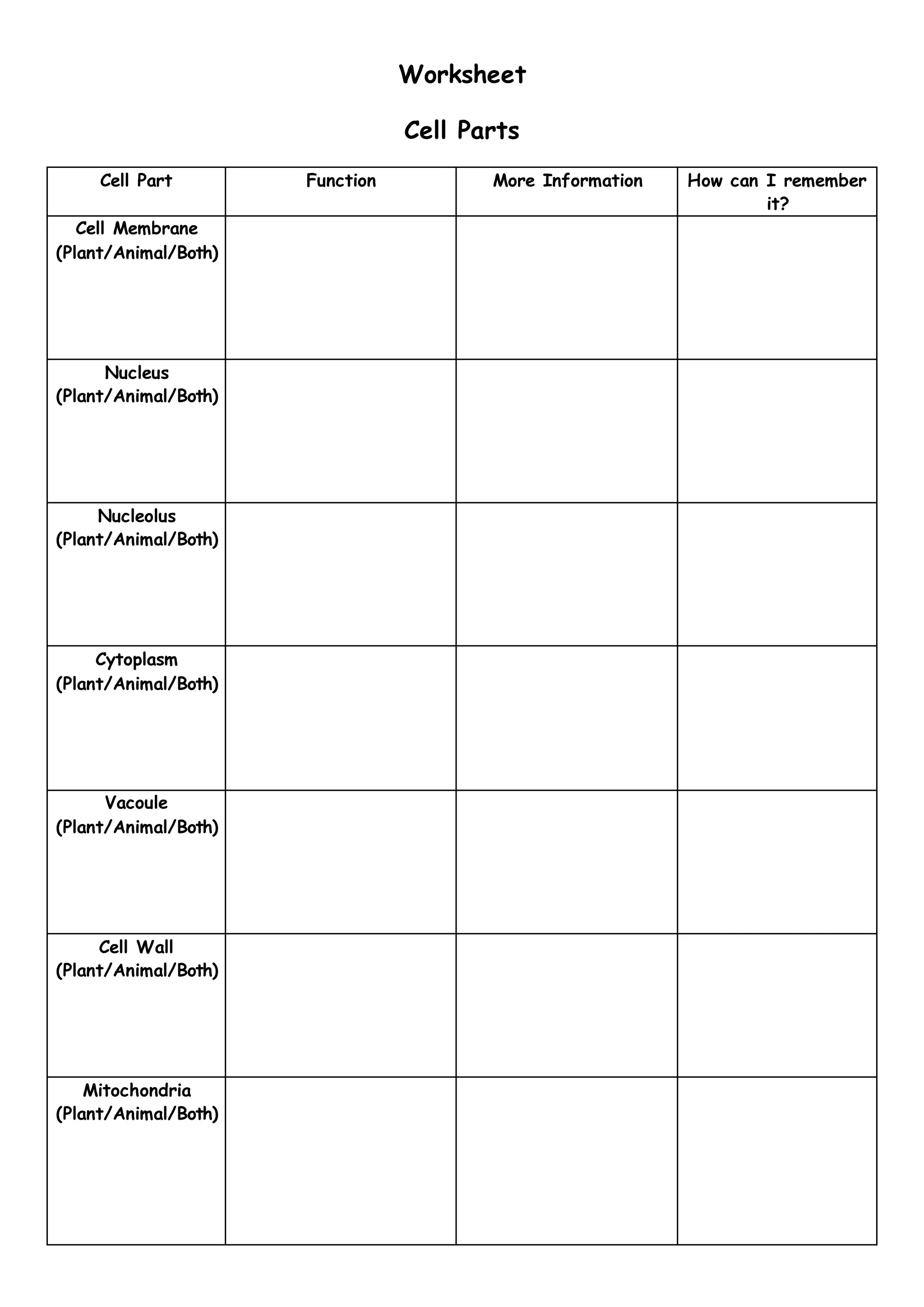 Worksheet Cell | DOCX