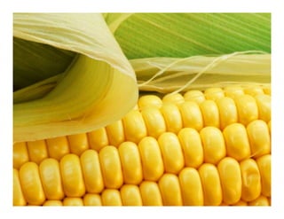 2.X Threshold Concentration | PPT