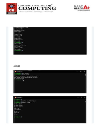 Worksheet (4) linux.docx
