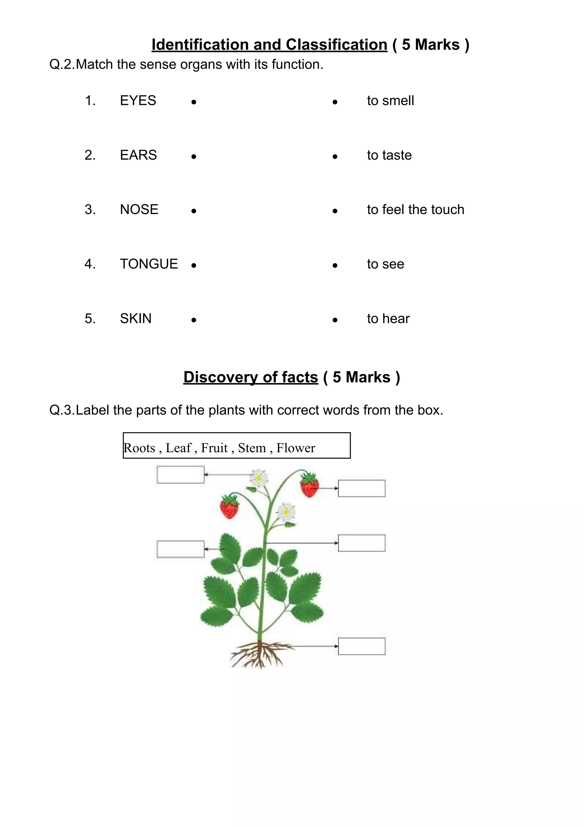 1 Worksheet Primary class kv ENGLIST , EVS | PDF