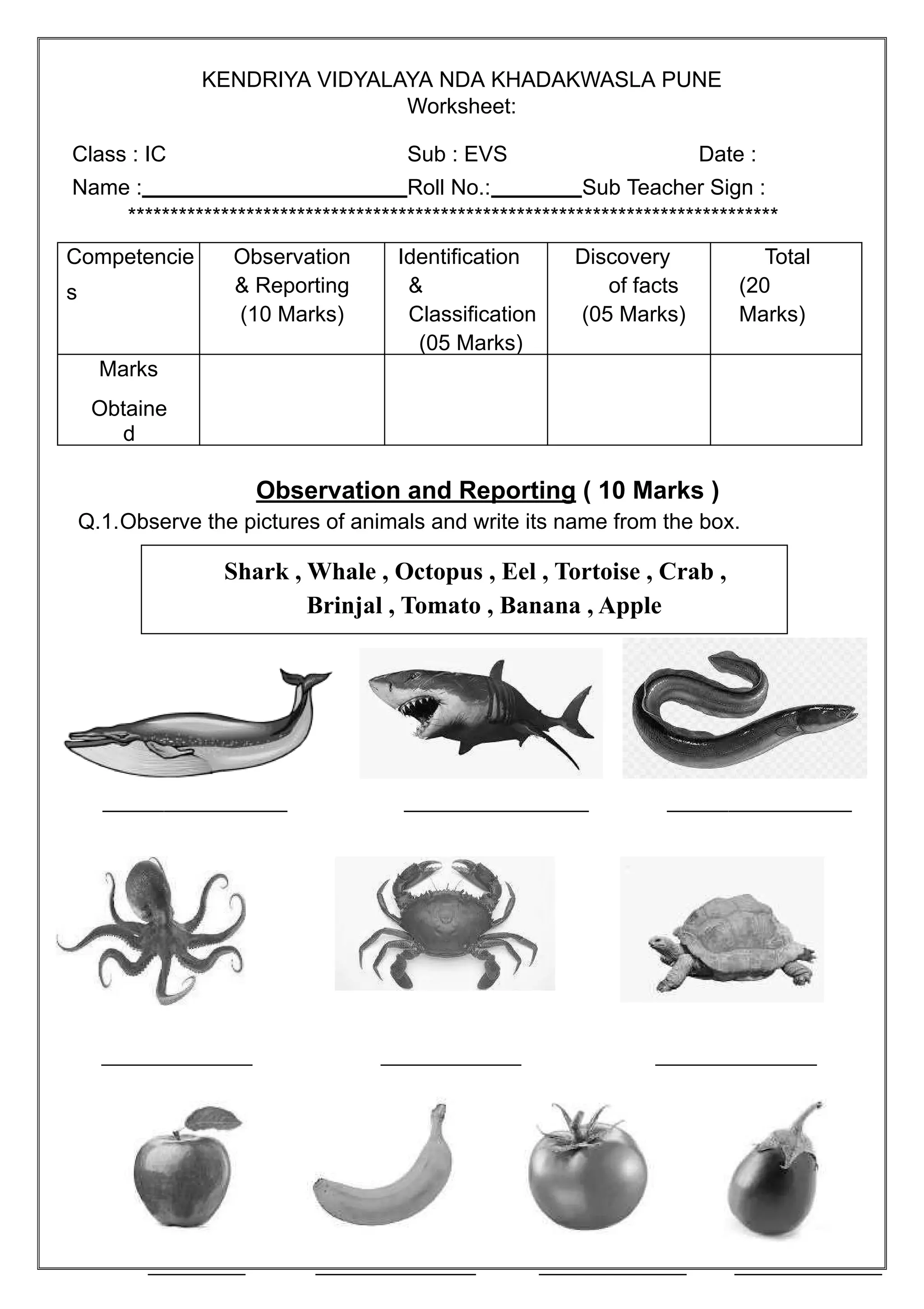 1 Worksheet Primary class kv ENGLIST , EVS | PDF