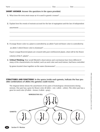 Worksheet 9 1 | PDF