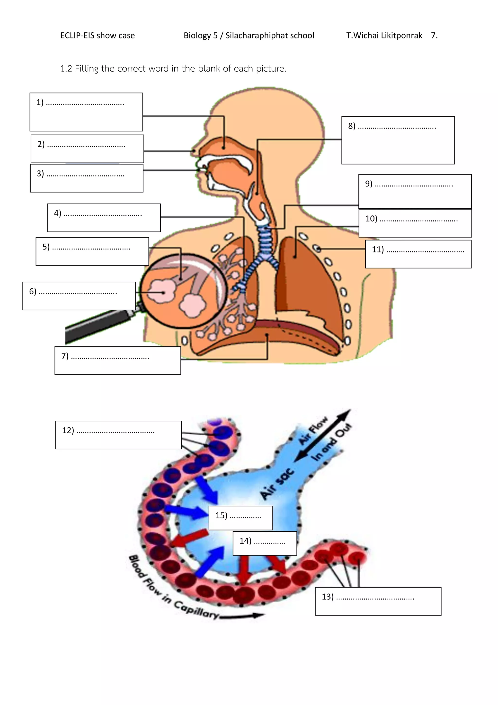 Worksheet biolo gy5 | PDF