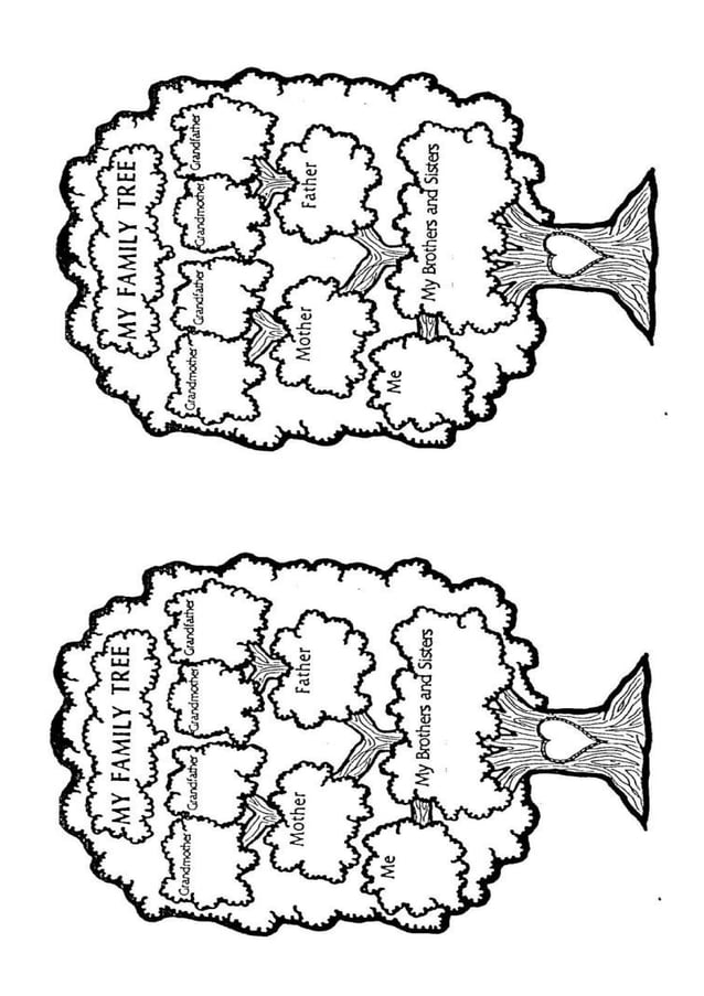 Worksheet family tree | PDF