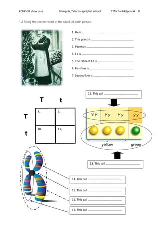 Worksheet genetics mendel | PDF