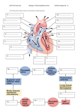 Worksheet human heart | PDF