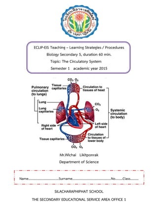 Worksheet human heart | PDF