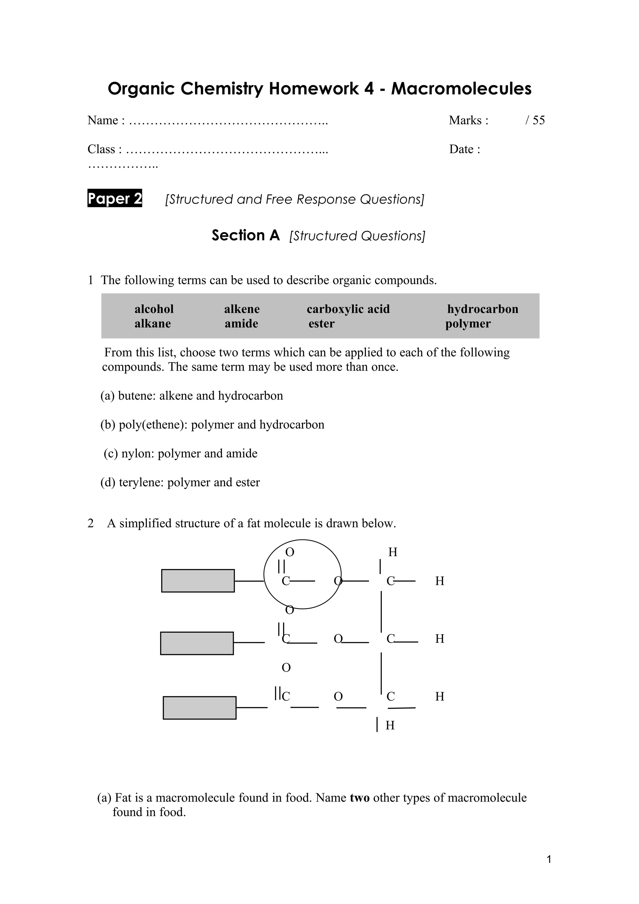 Macromolecule worksheet | PDF