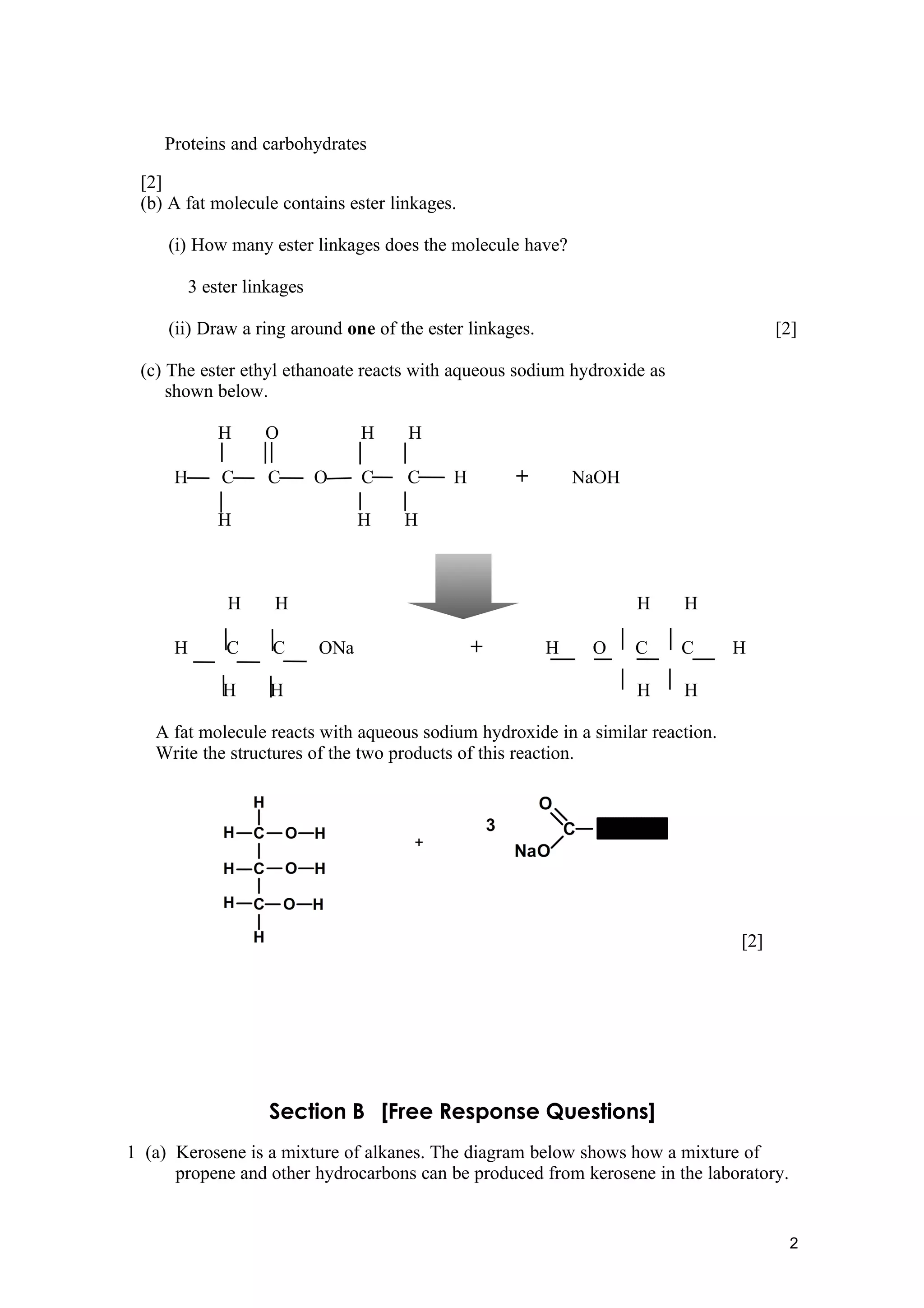 Macromolecule worksheet | PDF