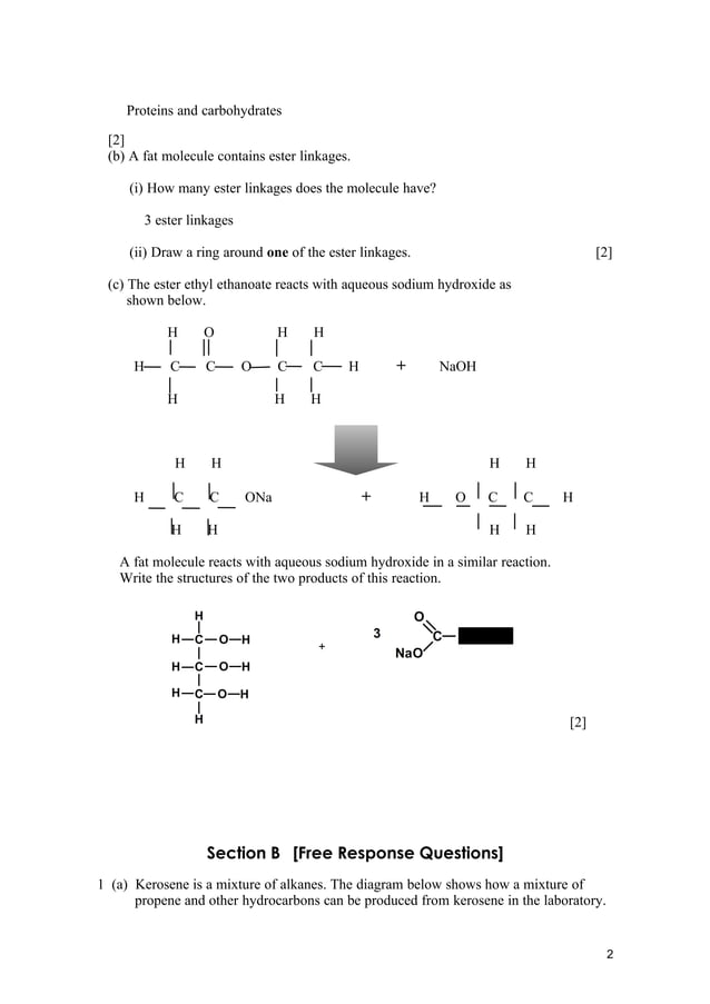 Macromolecule worksheet | PDF