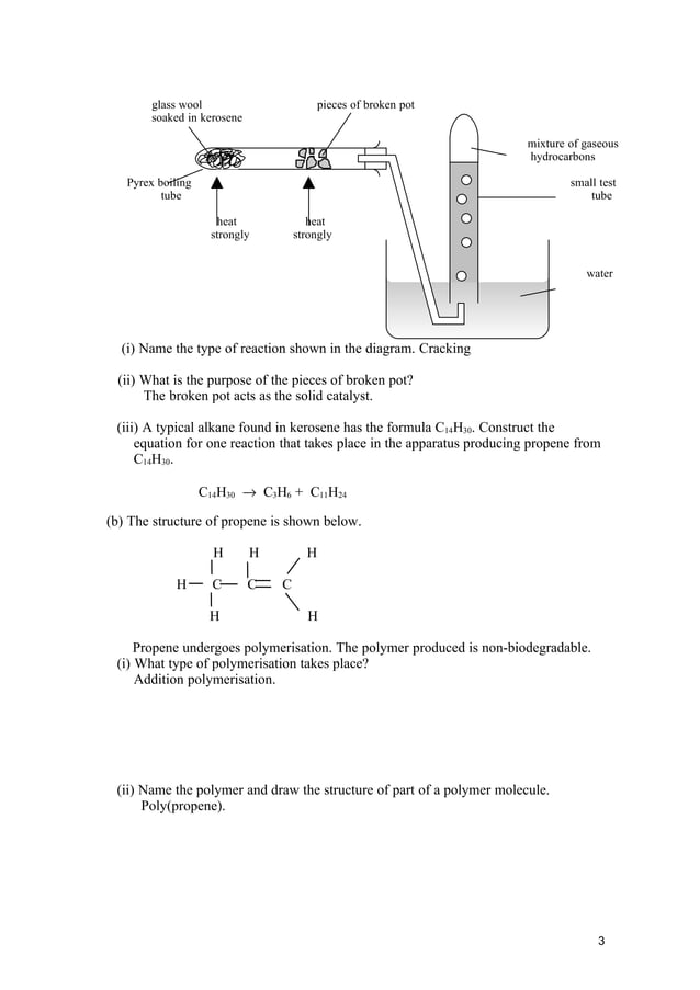 Macromolecule worksheet | PDF