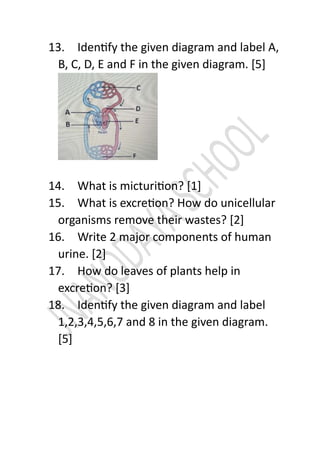 Worksheet on life processes.docx