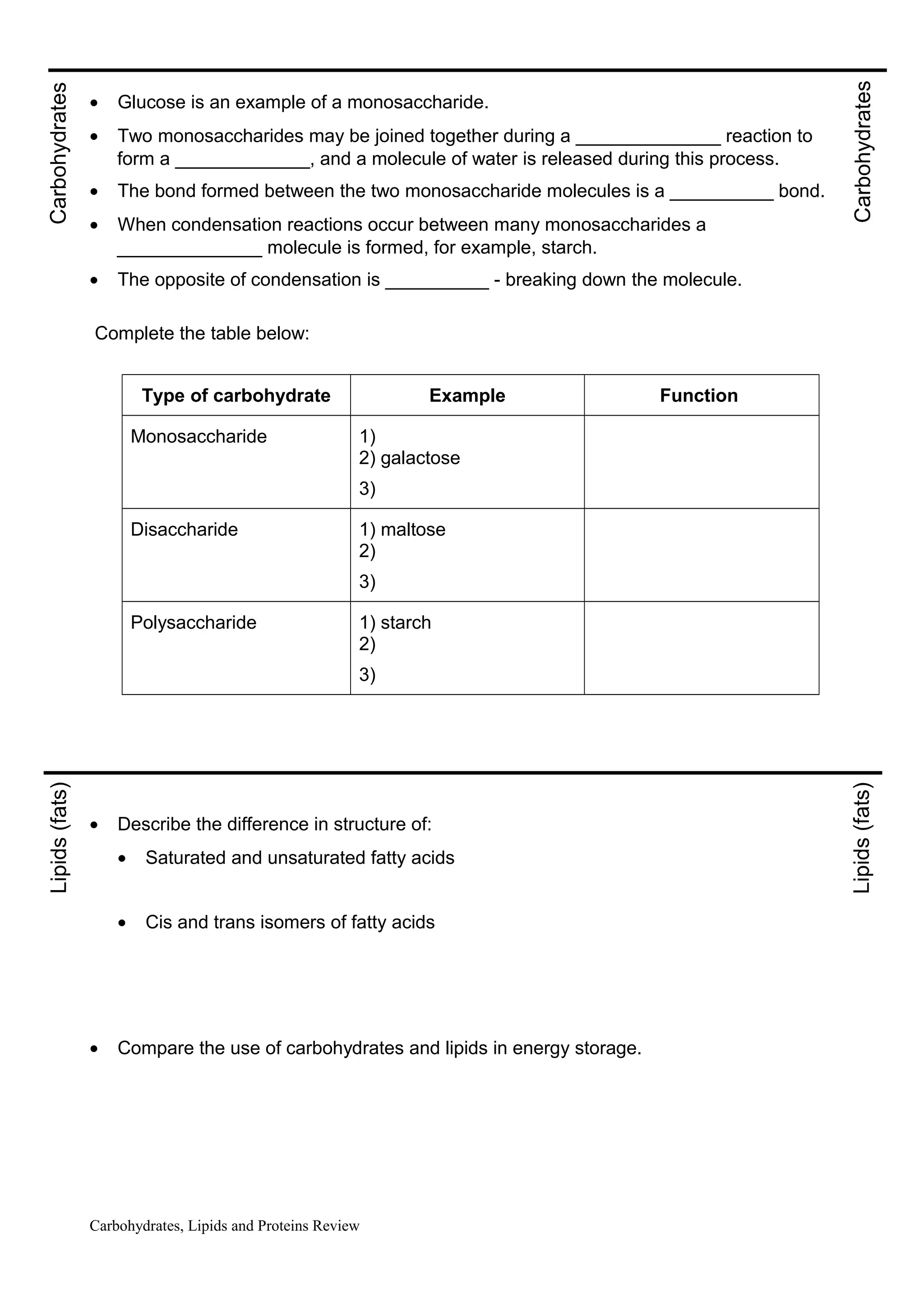 Worksheet review carbs, lipids, proteins | DOC