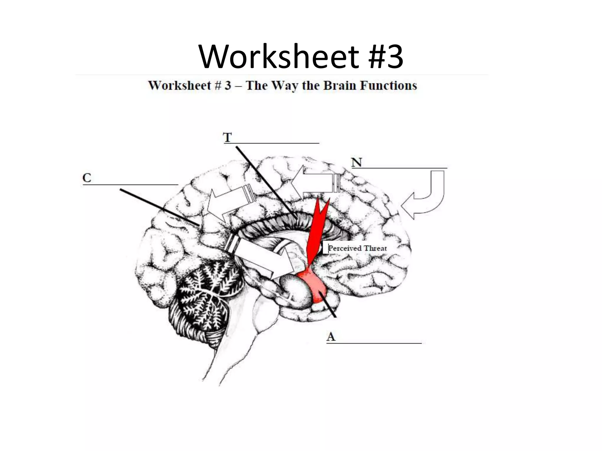 Worksheets | PPTX