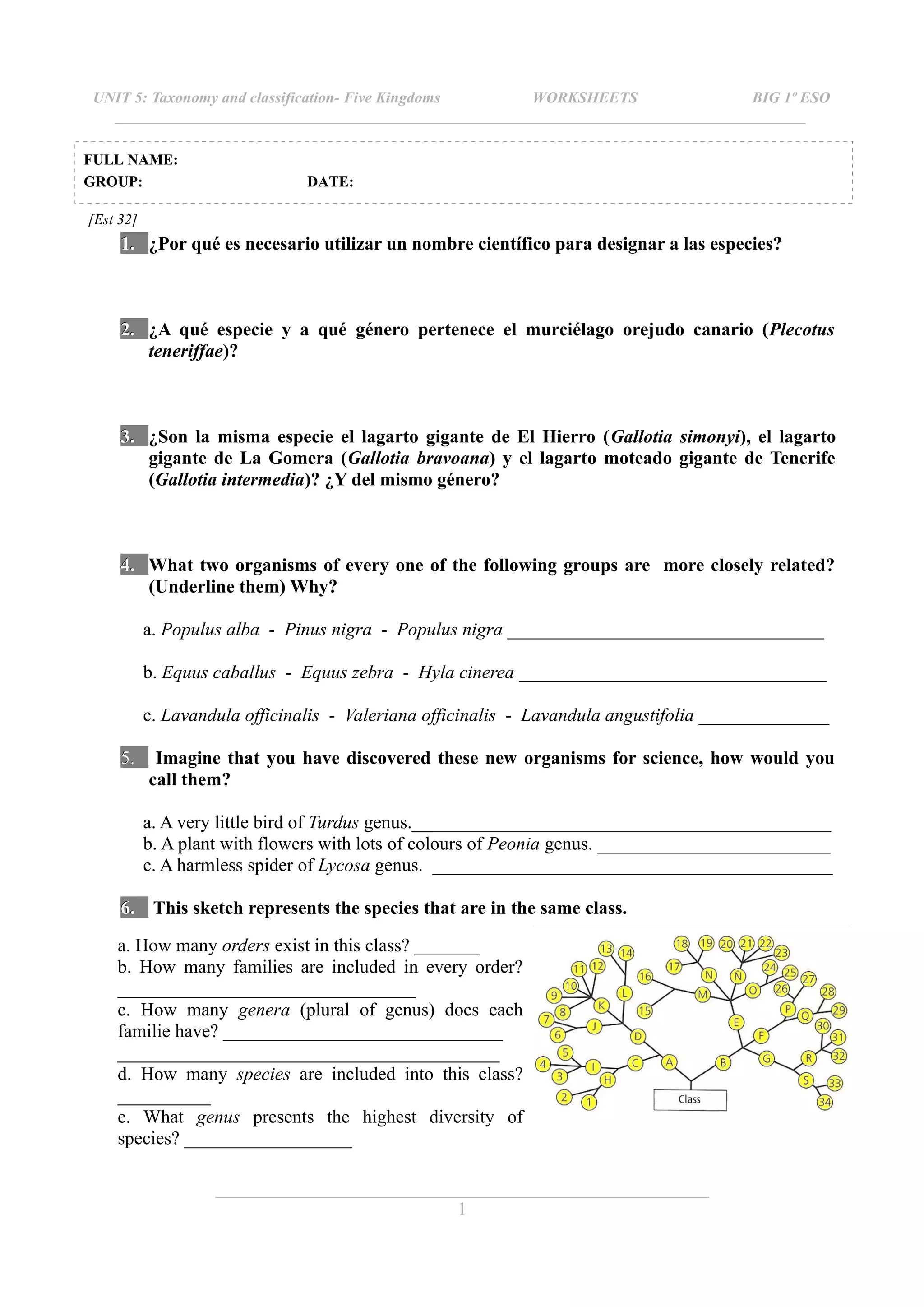 Worksheets taxonomy and clasification | PDF