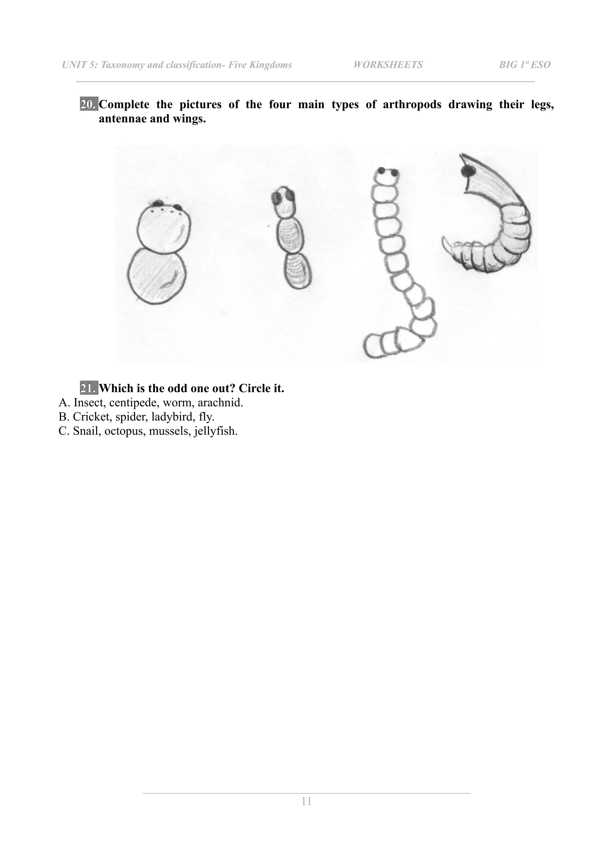 Worksheets taxonomy and clasification | PDF