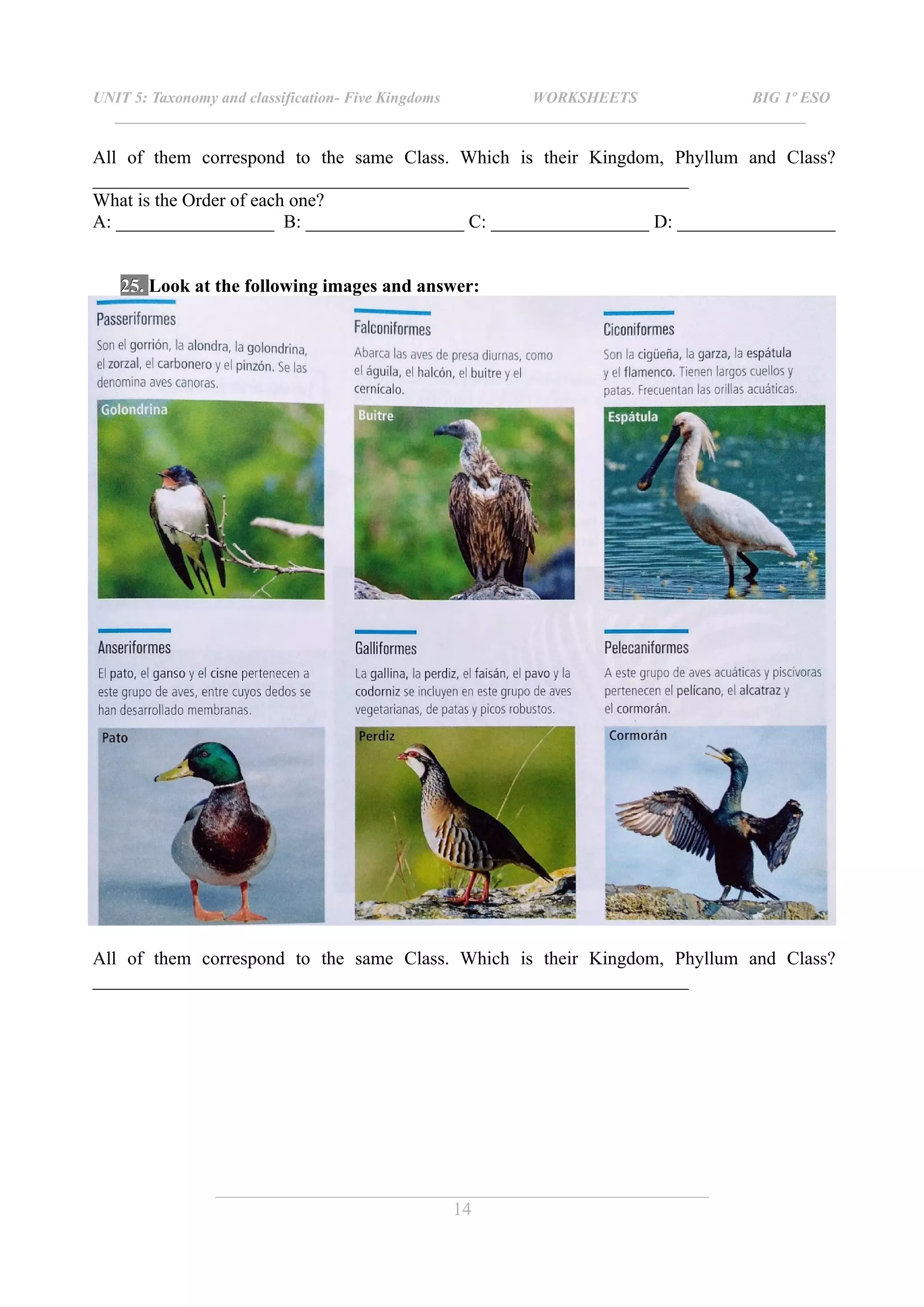 Worksheets taxonomy and clasification | PDF