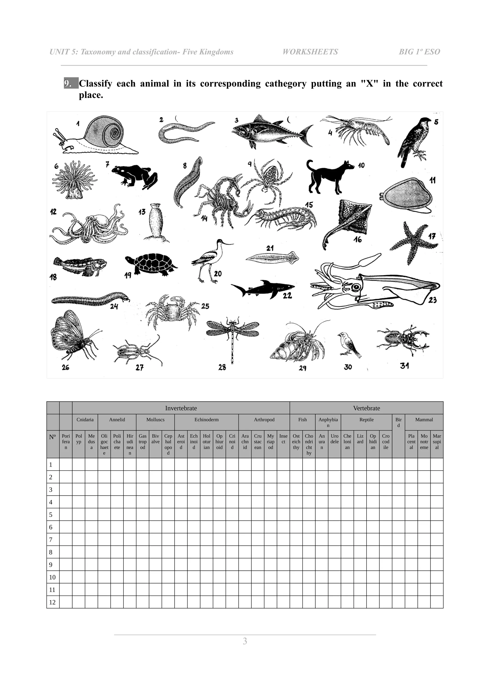 Worksheets taxonomy and clasification | PDF