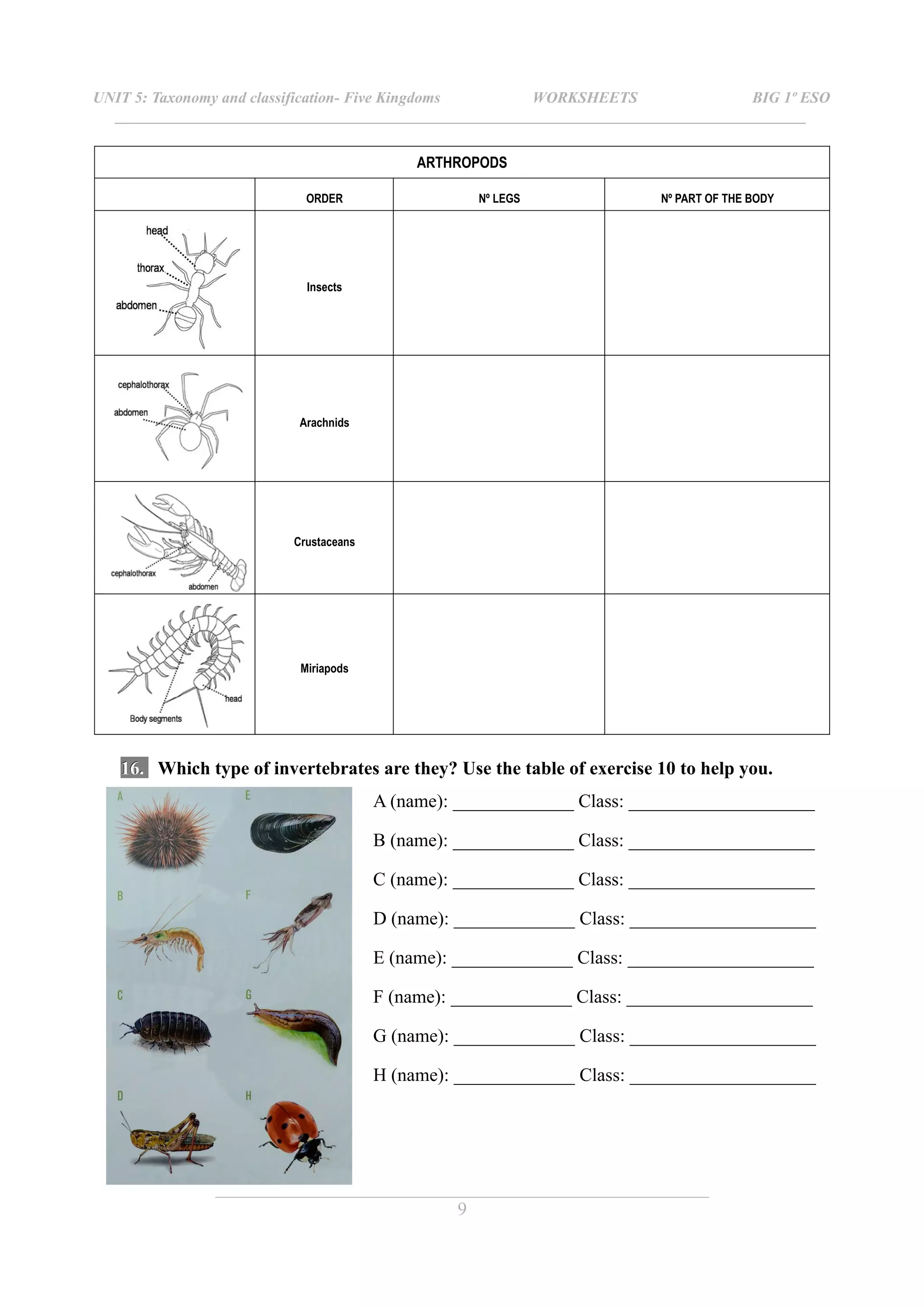 Worksheets taxonomy and clasification | PDF