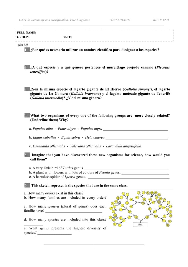 Worksheets taxonomy and clasification | PDF