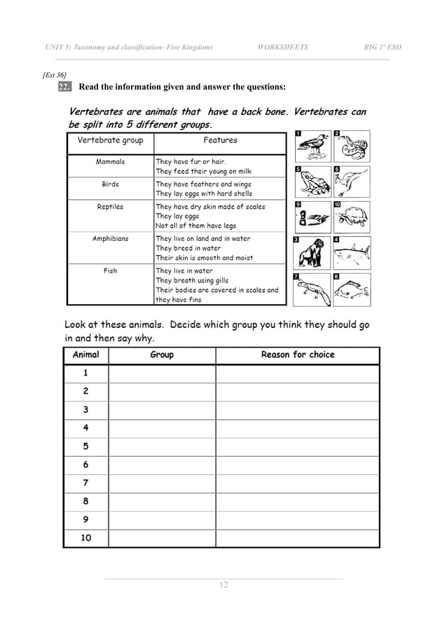 Worksheets taxonomy and clasification | PDF
