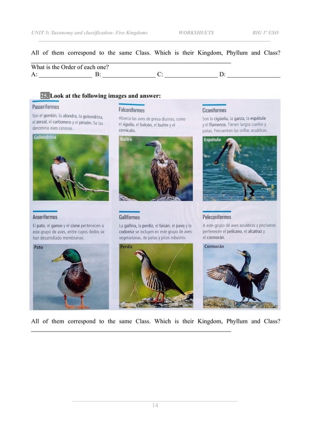 Worksheets taxonomy and clasification | PDF