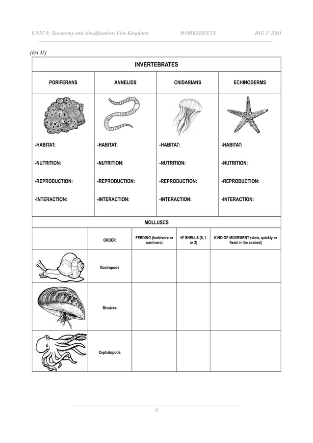 Worksheets taxonomy and clasification | PDF