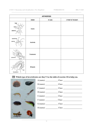 Worksheets taxonomy and clasification | PDF