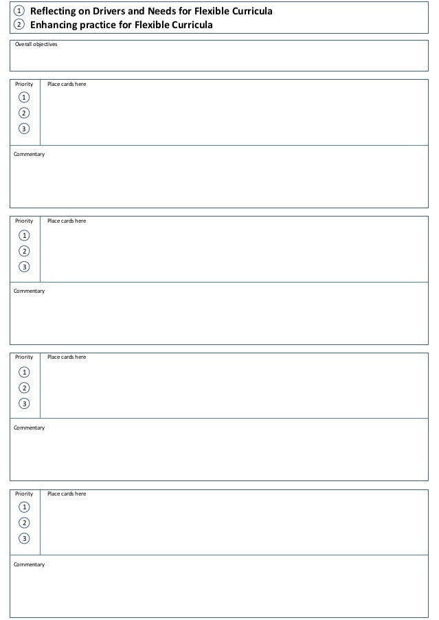 Flexible Curricula Viewpoints A0 Worksheet