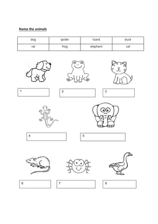 Worksheet year 1 pdpr pet show | DOCX