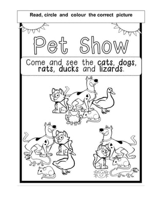 Worksheet year 1 pdpr pet show | DOCX