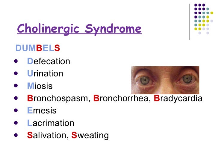 Workshop, Toxicology