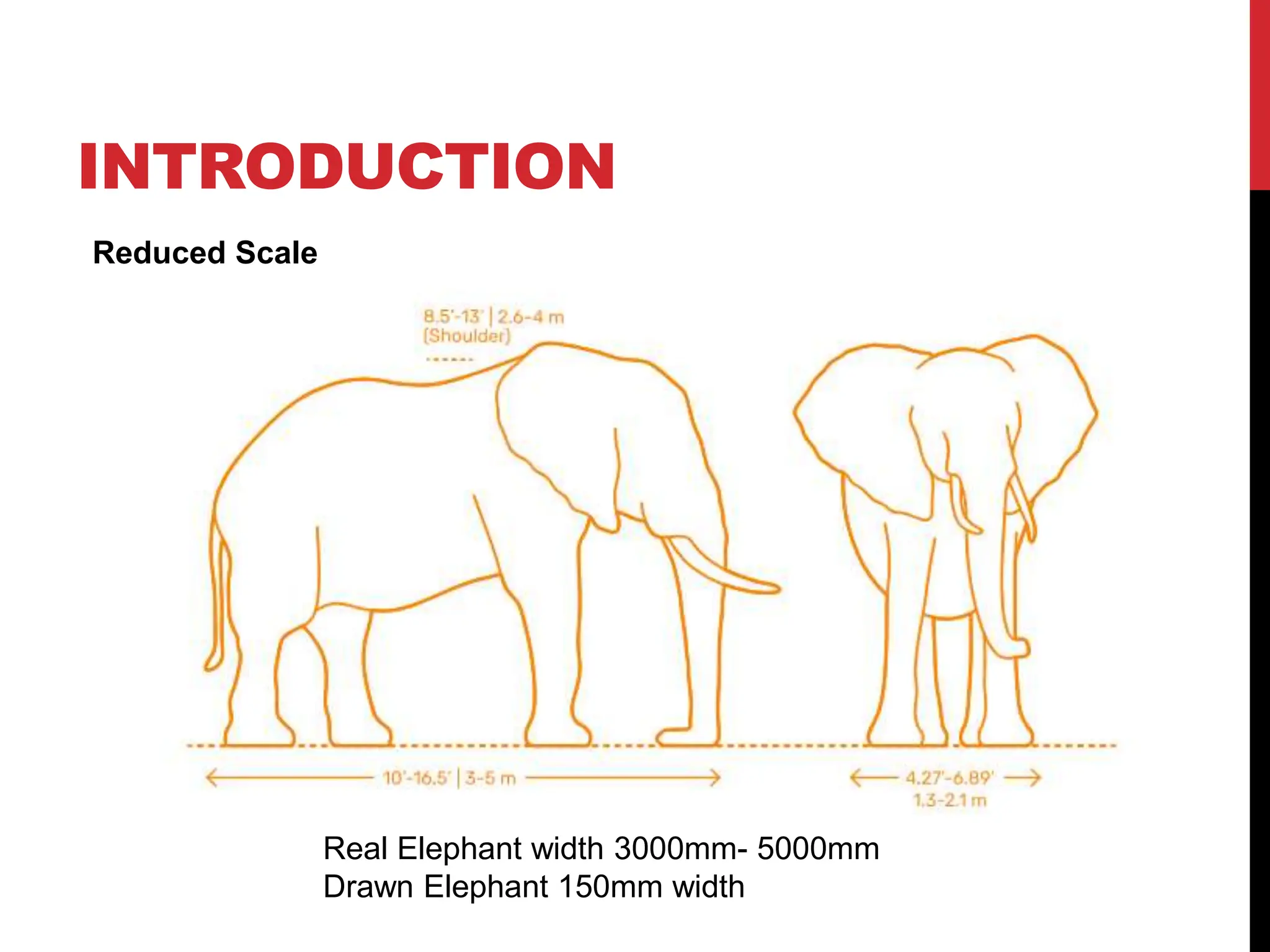 Workshop basic measurement drawing .pptx
