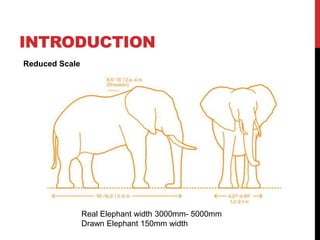 Workshop basic measurement drawing .pptx