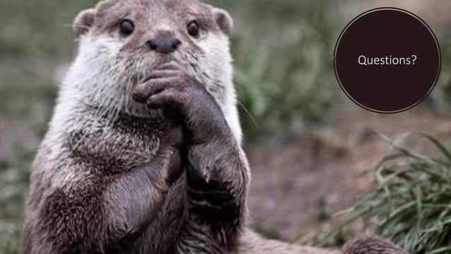 Workshop automating with microsoft flow | PPT