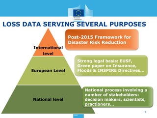 Current status and Best Practices for Disaster Loss Data recording in ...