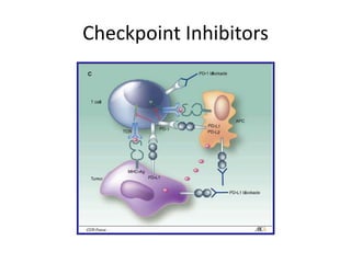 Immunuotherapy | PDF