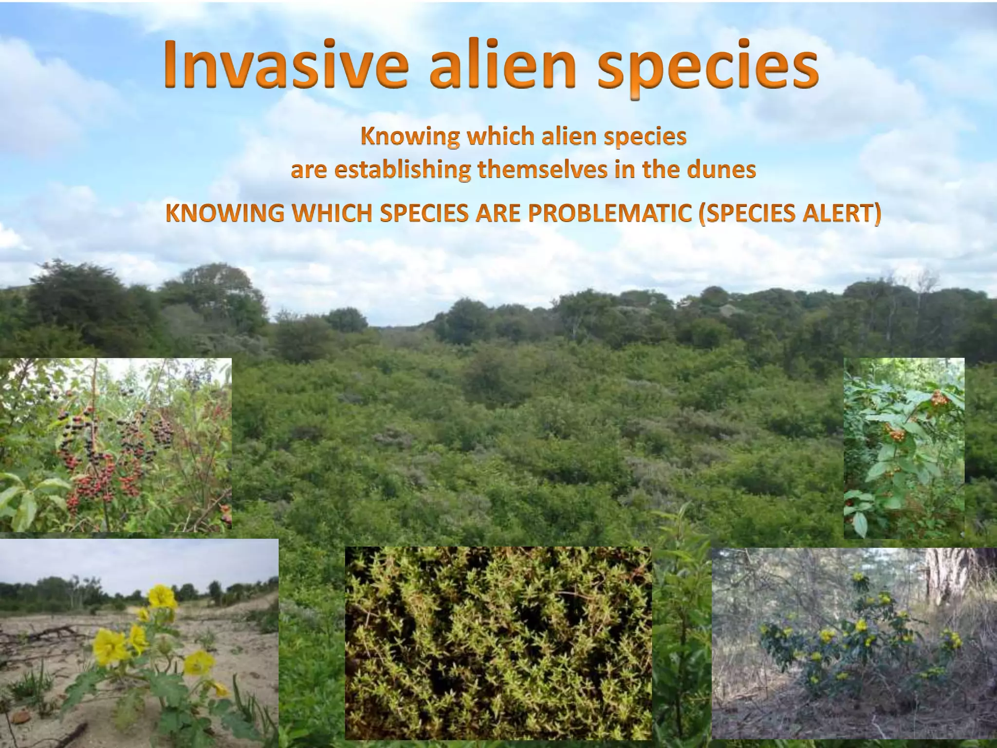 Invasive alien species | PDF