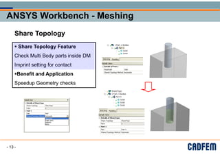 workshop-meshing-proces and different types).pdf